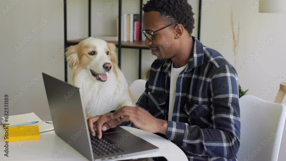 stylish African-American student with glasses sitting at his laptop and studying with his ...