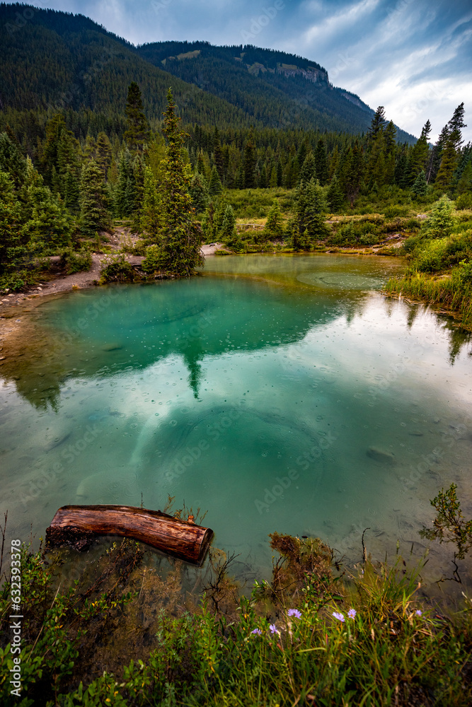 Ink Pots, Banff Alberta. Rain-kissed landscapes come alive in a dance ...