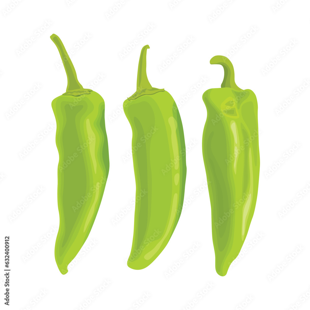 Vector illustration of green chili pepper realistic in flat cartoon ...