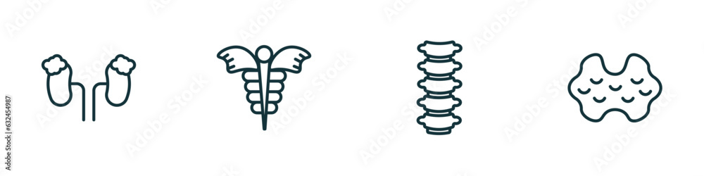 set of 4 linear icons from medical concept. outline icons included ...