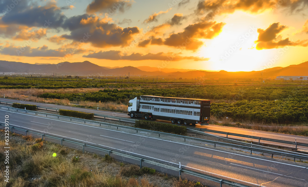Animal transporter truck driving on a highway. Semi-trailer truck with ...