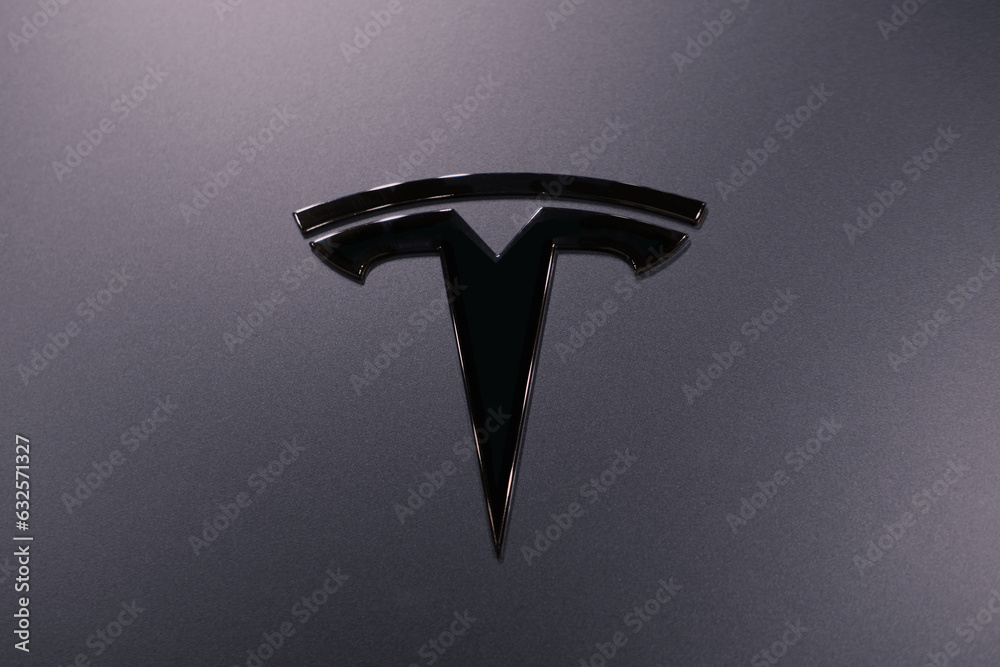 Closeup chromium-plated Logotype Tesla Motors on silver hood, most ...