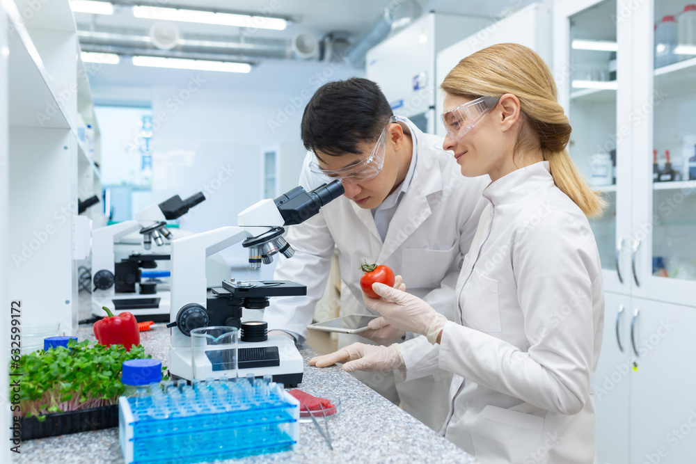 Research of food and food products in the laboratory. Young ...