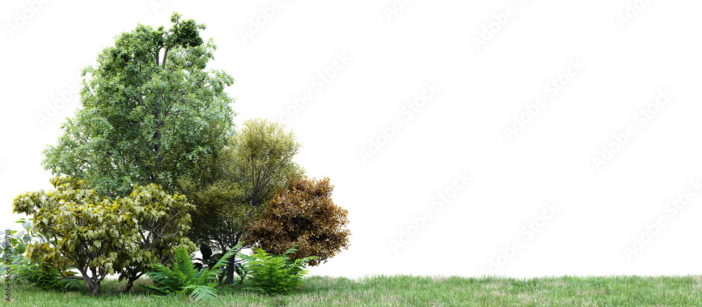 Group of tree isolated on transparent background 3d rendering png Stock ...