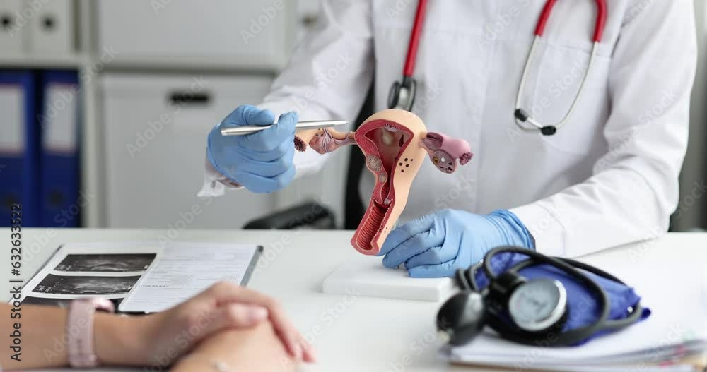 Doctor gynecologist showing patient female diseases on model of uterus ...