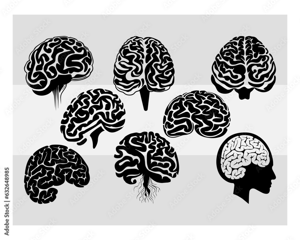 Brain svg, Human Brain Svg, Brain Silhouette, Organ Svg, Human Brain ...