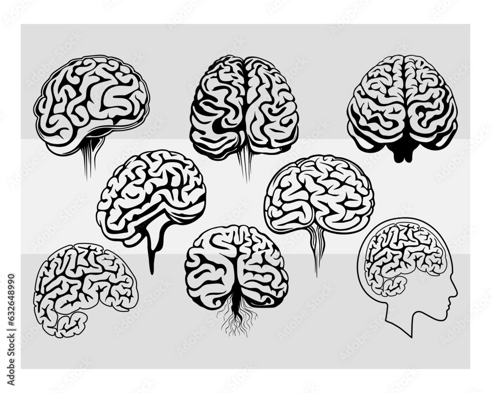 Brain svg, Human Brain Svg, Brain Silhouette, Organ Svg, Human Brain ...