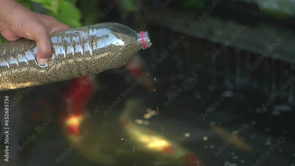 Recycle plastic bottles to feed fish. Waste recycle management, eco ...