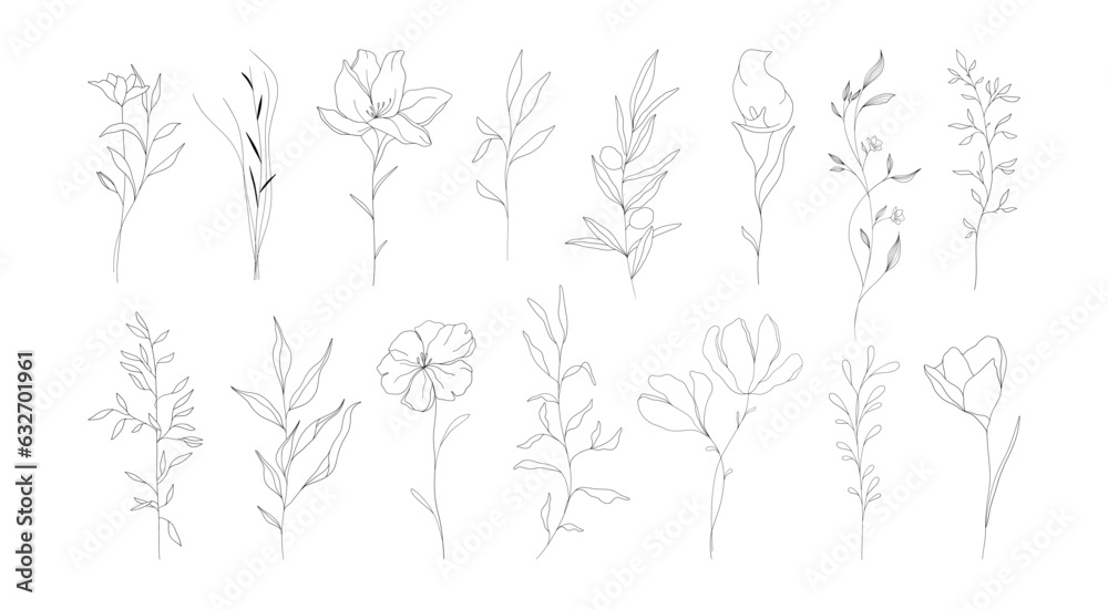 Fine line flowers. Doodle ornamental floral elements, nature botanical ...
