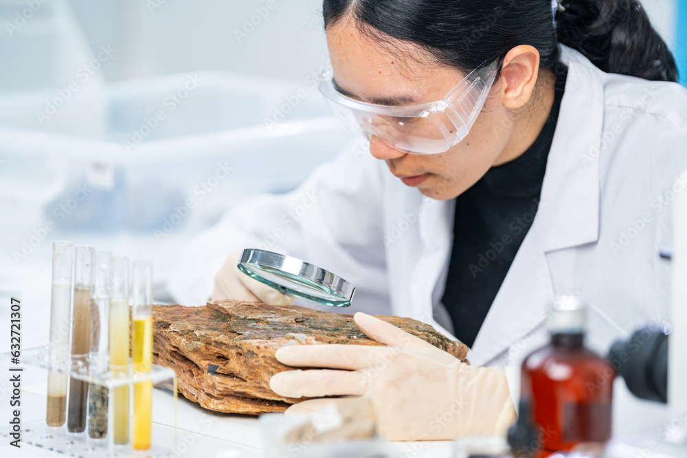 Geology science laboratory research concept, sample test analysis of ...