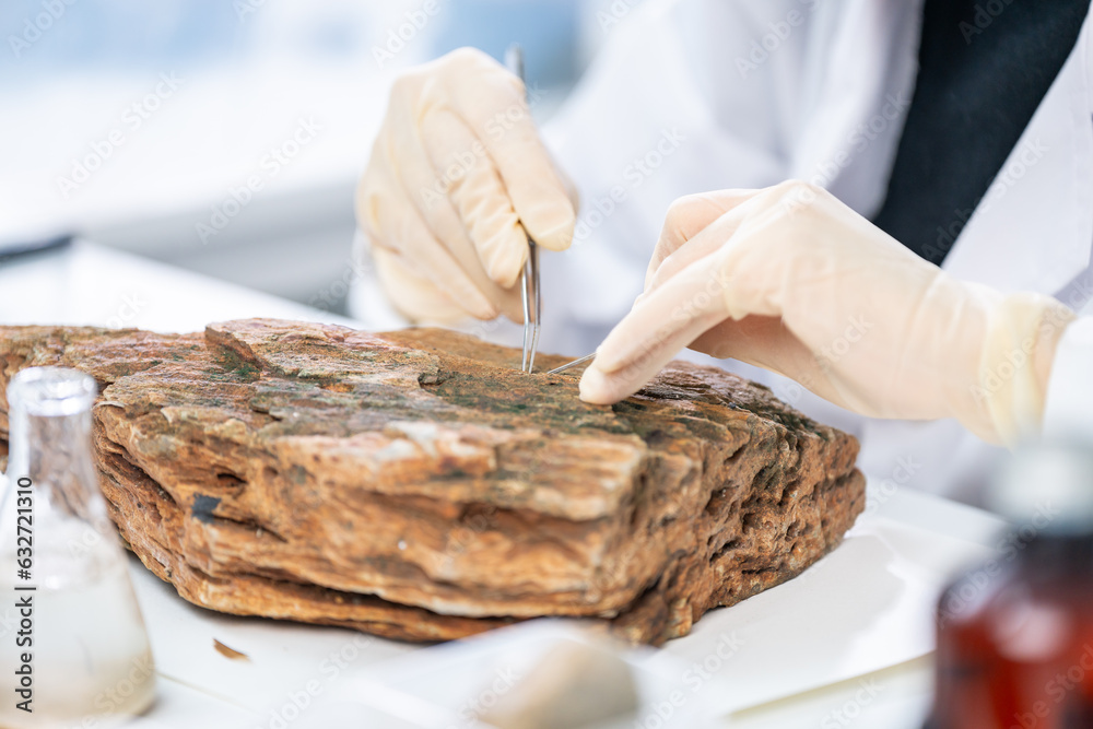 Geology science laboratory research concept, sample test analysis of ...