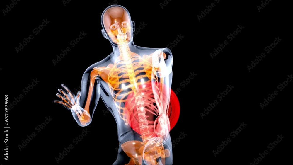 Back Pain spinal spine close-up animation Anatomy Body 3D Scan render ...