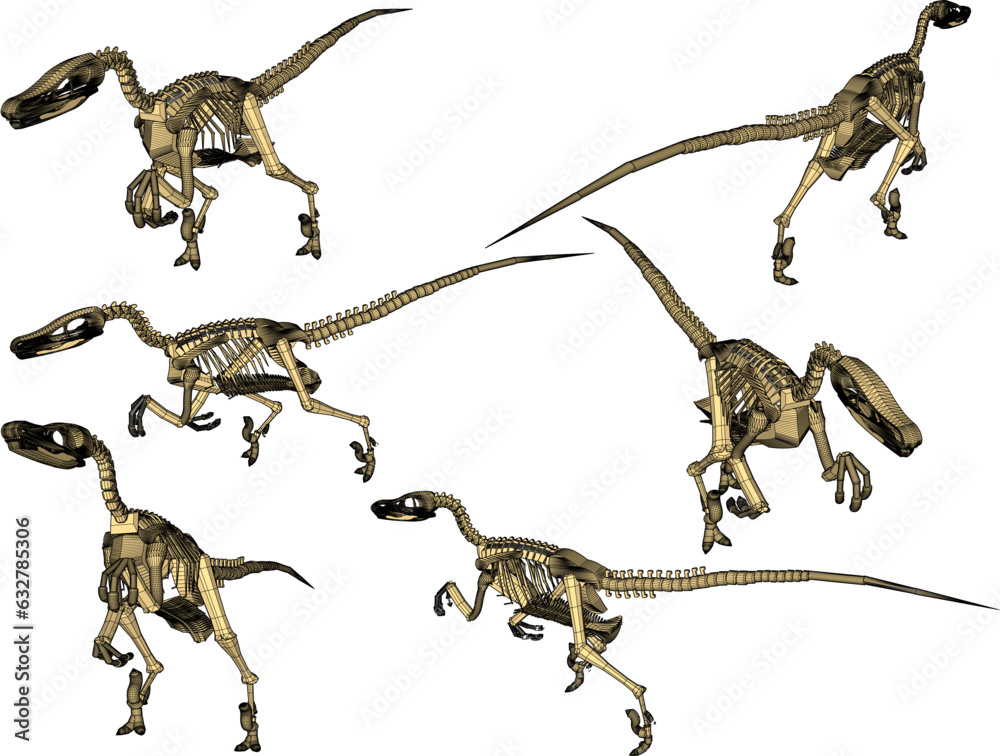 Vector sketch illustration of the skeletal structure of a prehistoric ...