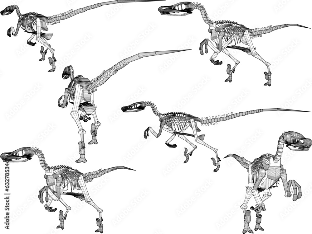 Vector sketch illustration of the skeletal structure of a prehistoric ...