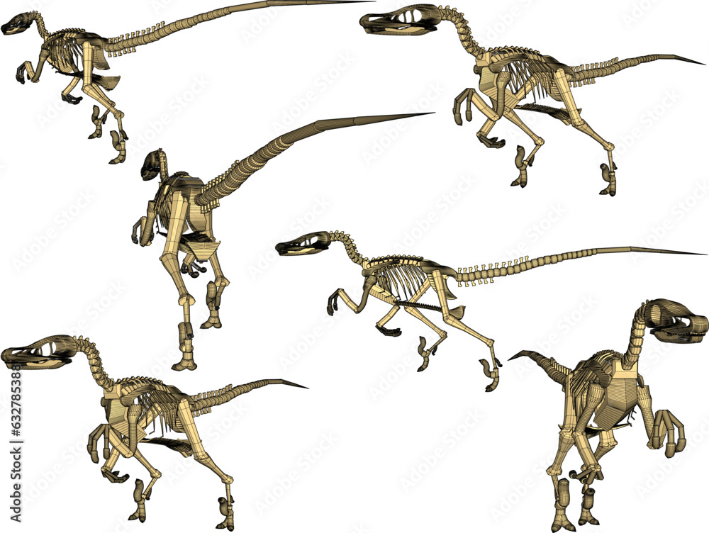 Vector sketch illustration of the skeletal structure of a prehistoric ...
