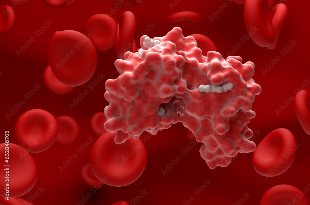 Oxyhaemoglobin and haemoglobin cells in the blood flow - closeup view ...