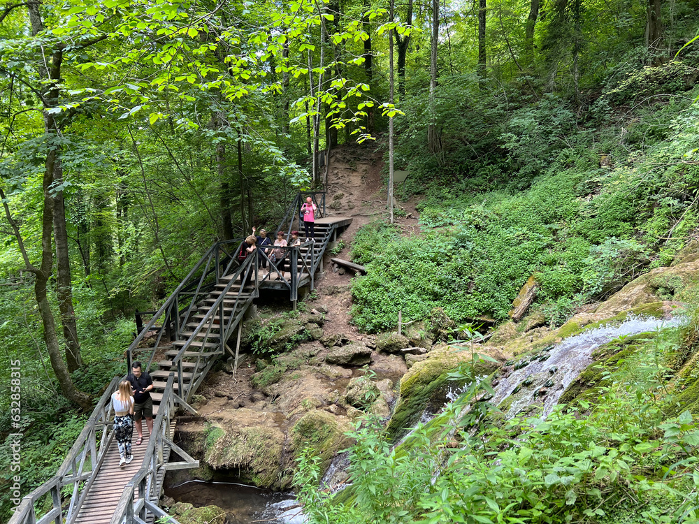 Walking and hiking trails in the forest park Jankovac or Count's ...