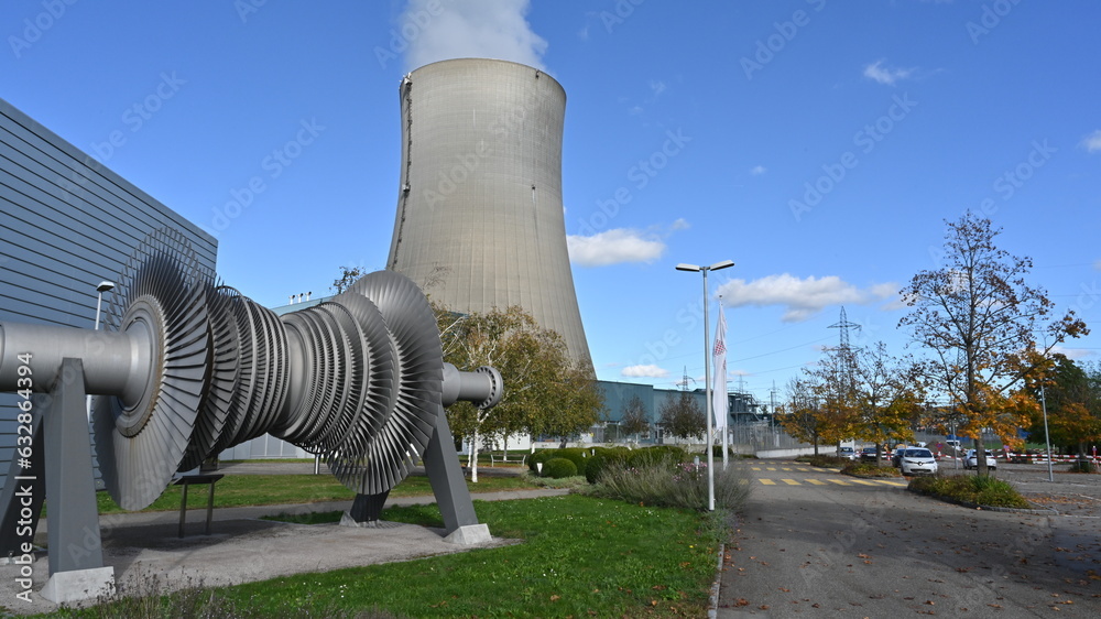 Low-pressure turbine rotor with shrouded and standing blades used in ...