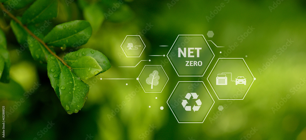 Neutral and net zero fresh air concept natural environment Climate ...