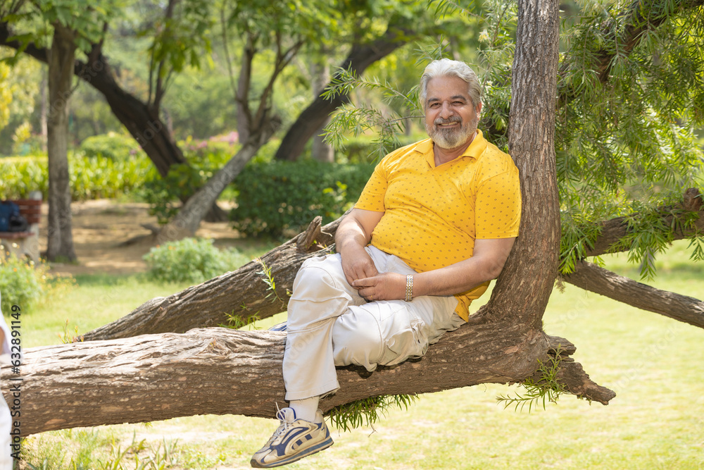 Indian senior man sitting on tree at park and giving happy expression ...