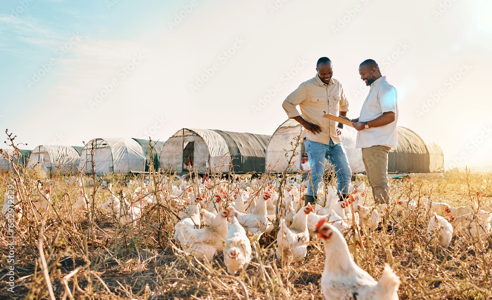 Black people, clipboard and farm with chicken in agriculture together ...