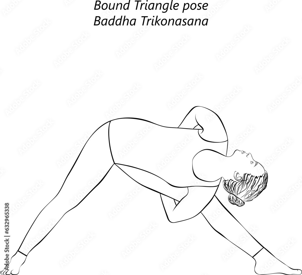 Sketch of young woman practicing yoga, doing Bound Triangle posture ...
