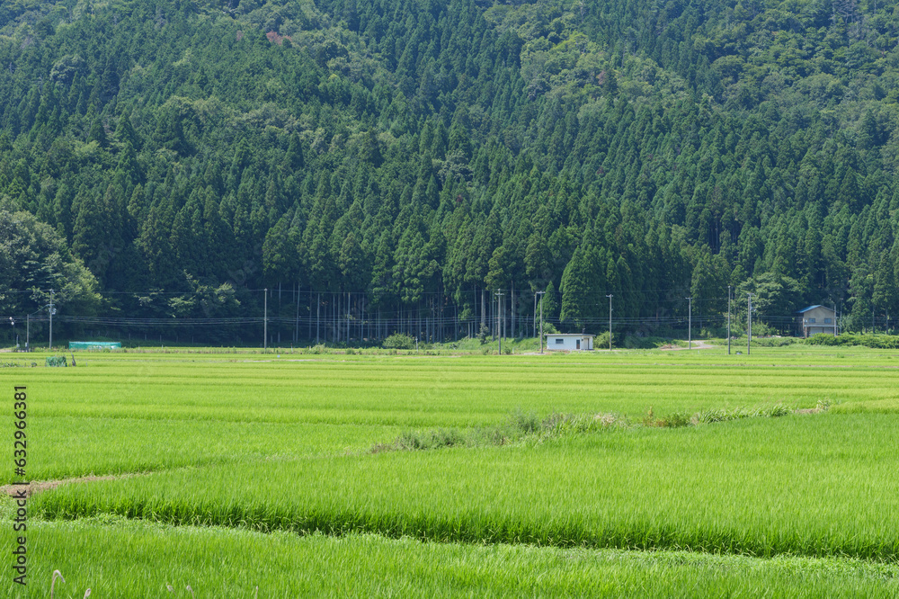 Image of beautiful Terraced rice field in water season and Irrigation ...