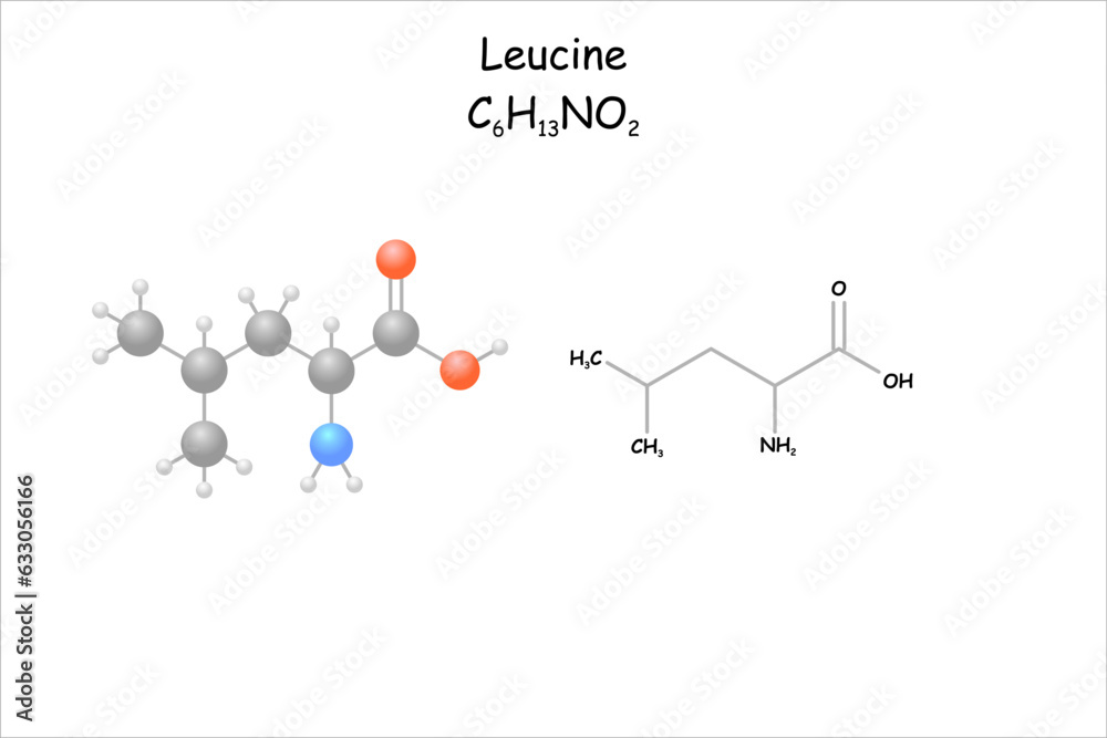 Stylized molecule model/structural formula of leucine. Stock Vector ...