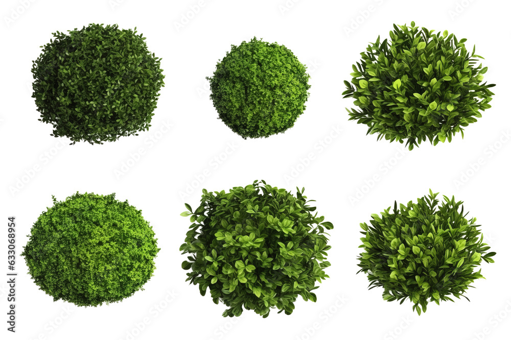 Set / Collection of bushes isolated on transparent background cutout ...