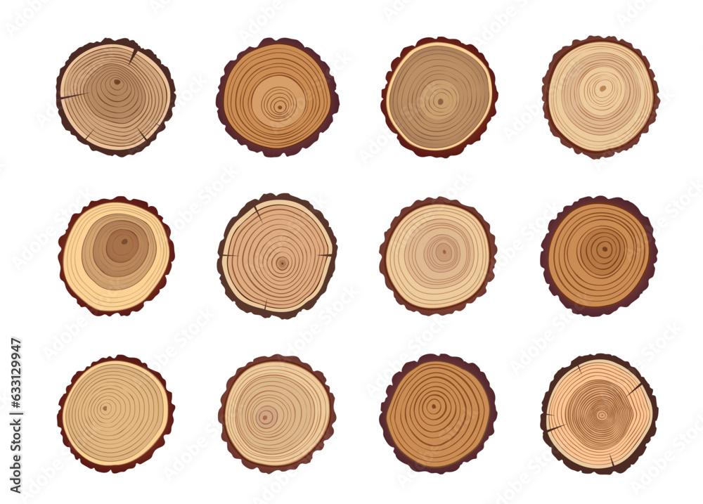 Tree trunks and wood cut stumps with texture of circles or annual ...