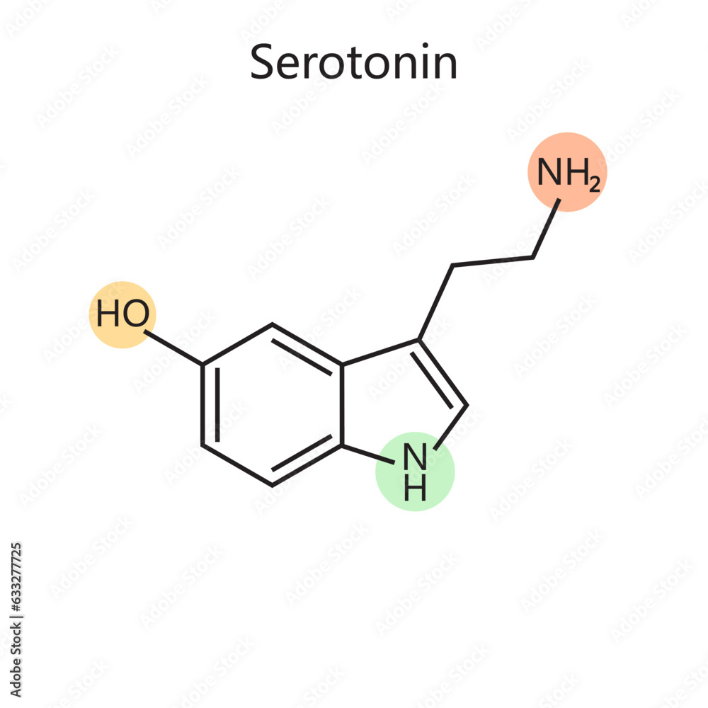 Chemical organic formula of serotonin diagram schematic vector ...