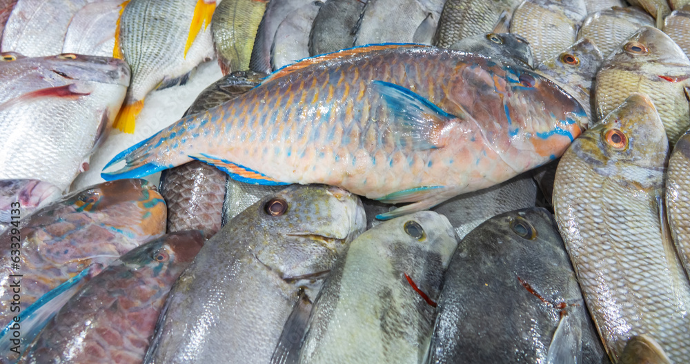 Bandar Abbas, Iran. Fish market. The fish of the Persian Gulf and the ...