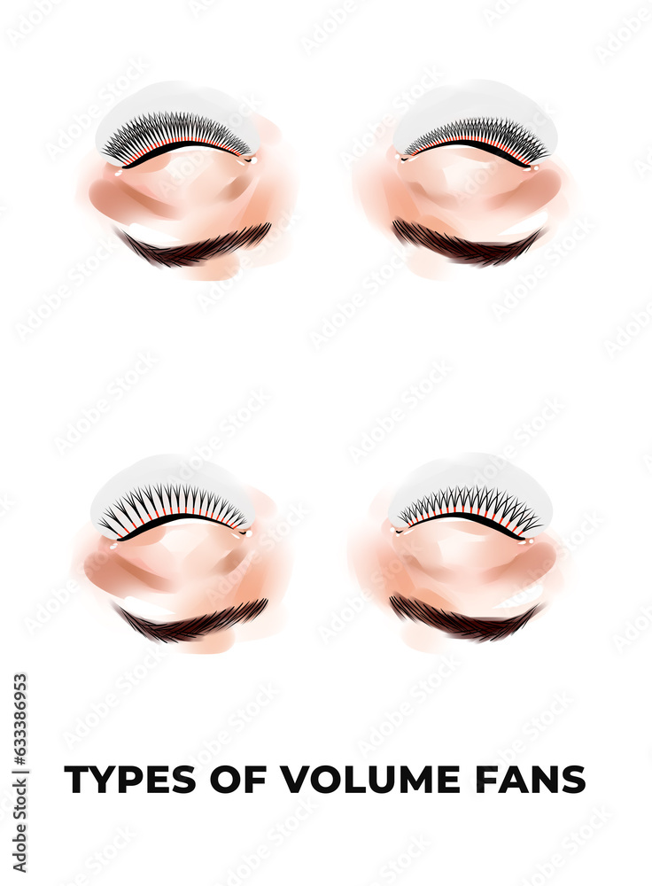 Volume Eyelash Extension Application and Style Guide. Direction look ...
