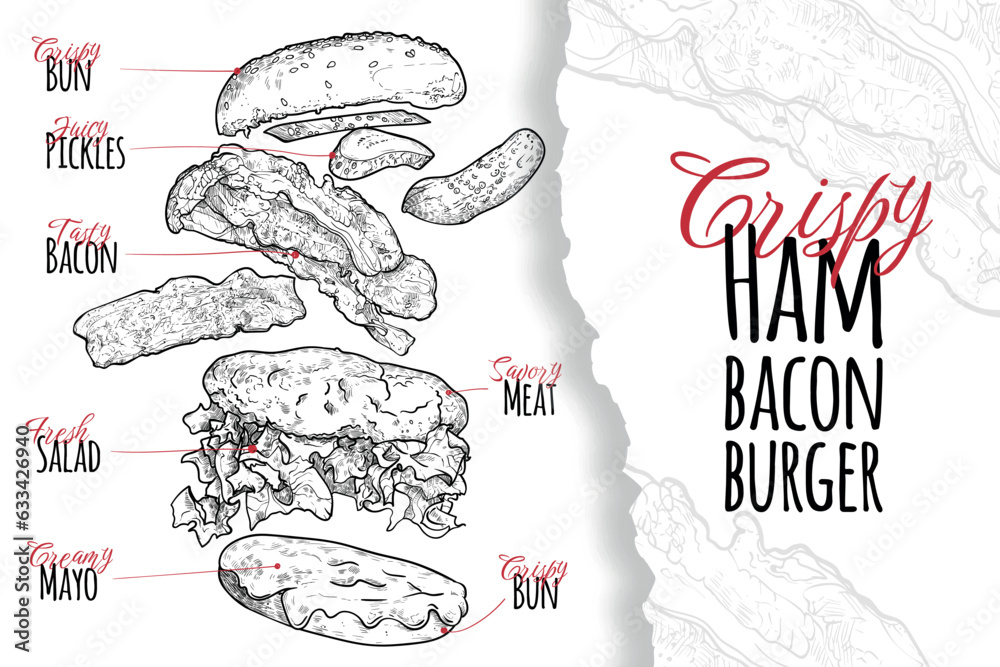 Vector line art hand drawn burger with bacon, pickles, lettuce, bacon ...