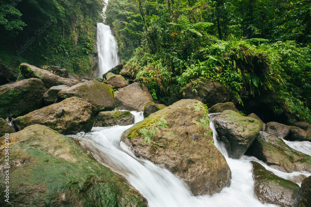 View of the lush vegetation and rushing water of Trafalgar Falls on the ...