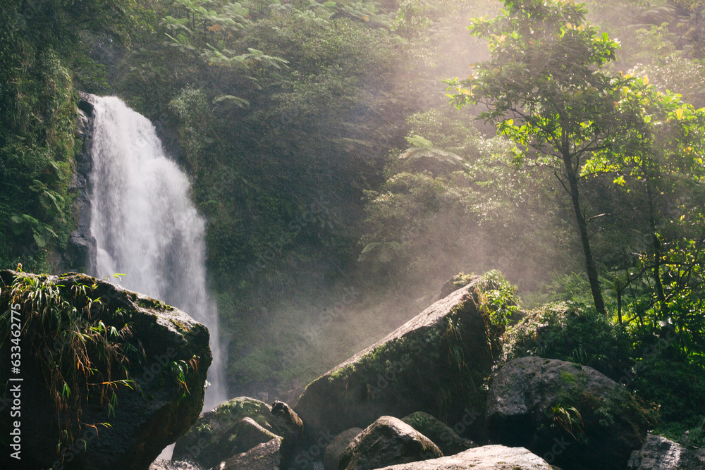 View of the rushing water of Trafalgar Falls in the misty rainforest on ...