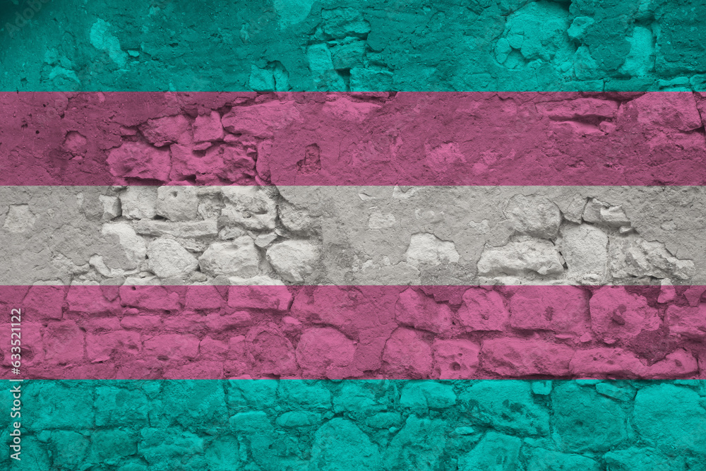 striped Nonbinary Trans Flag: Combining the Non-binary and Transgender ...