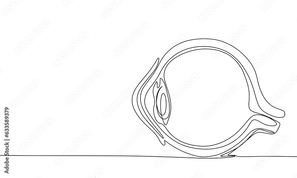 One line continuous eye anatomy. Line art health banner concept. Hand ...