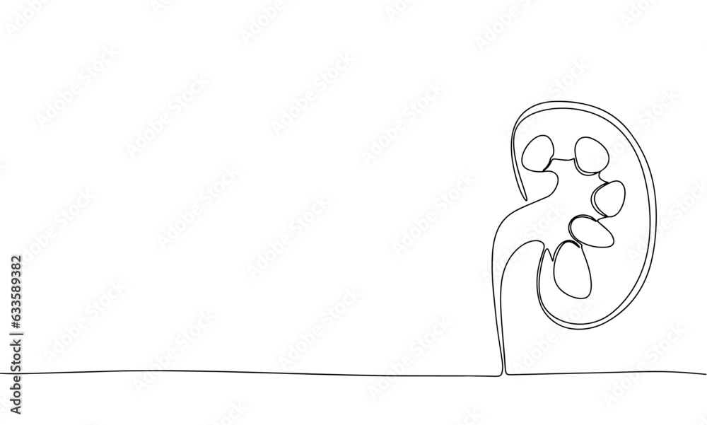 One line continuous kidney. Line art health banner concept. Hand drawn ...