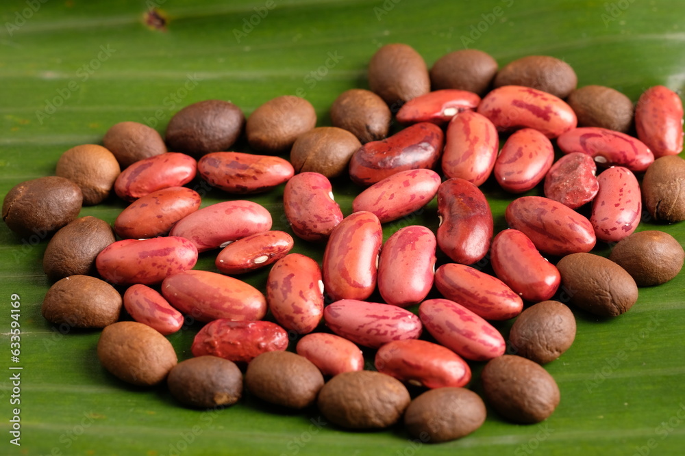 ogo beans are a type of bean of the Phaseolus vulgaris type. this bean ...