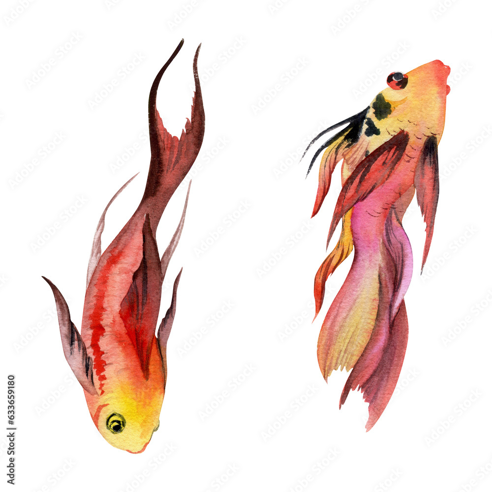 Hand drawn watercolor aquarium tropical fish swordtail sealife. Marine ...
