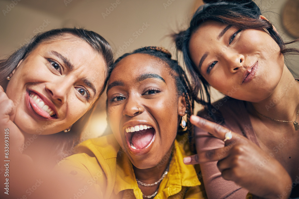 Friends Selfie And Women Happy Crazy And Bond In A Living Room At Home Together On The Weekend