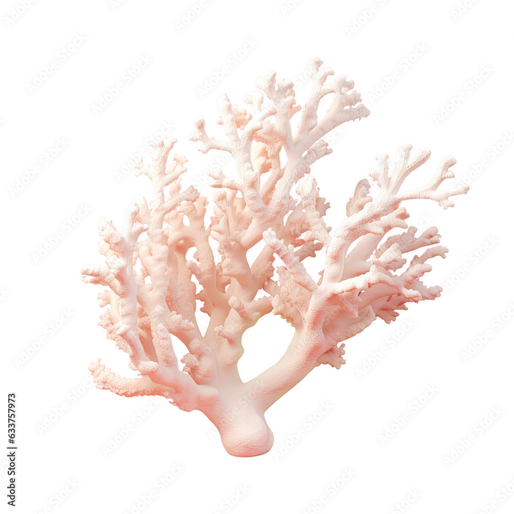 transparent background with lovely branches of white Sango coral Sea ...