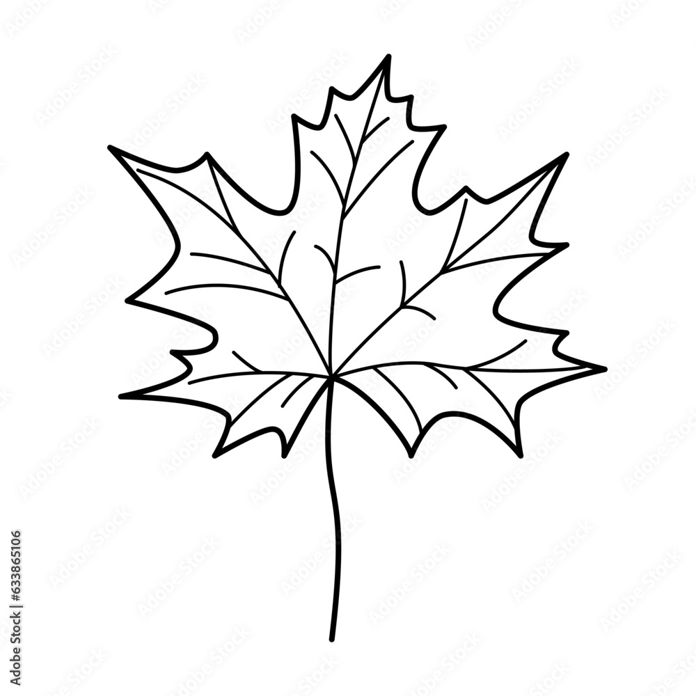 Maple leaf contour drawing isolated cutout black and white vector ...