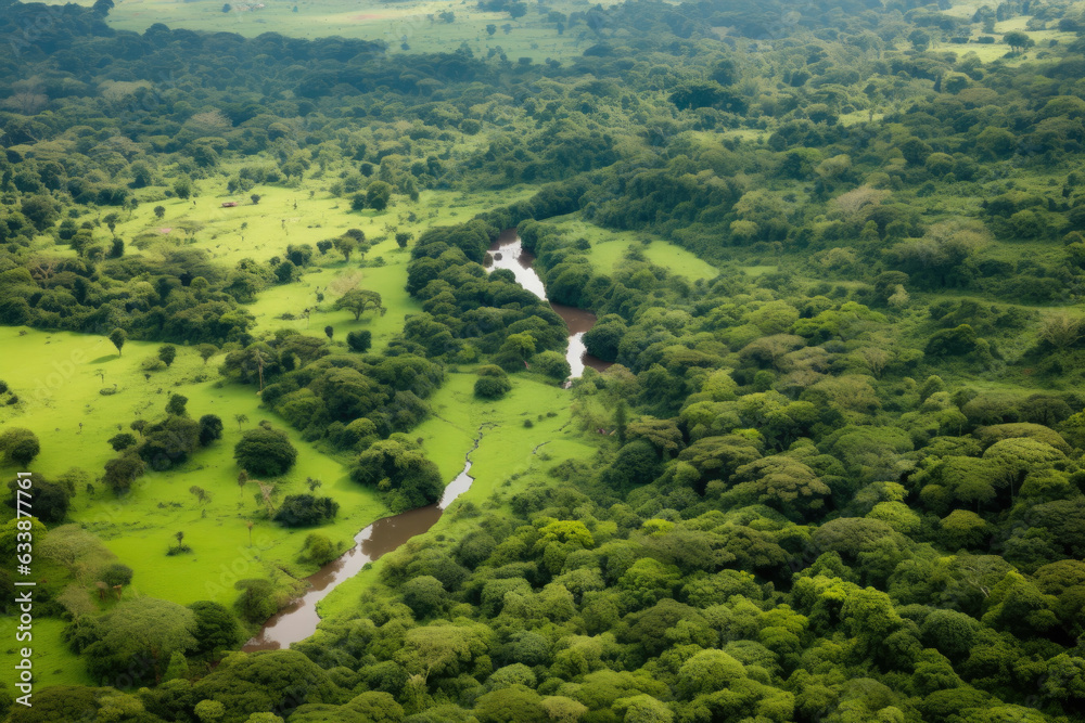 Aerial view of a peaceful wildlife sanctuary surrounded by lush ...