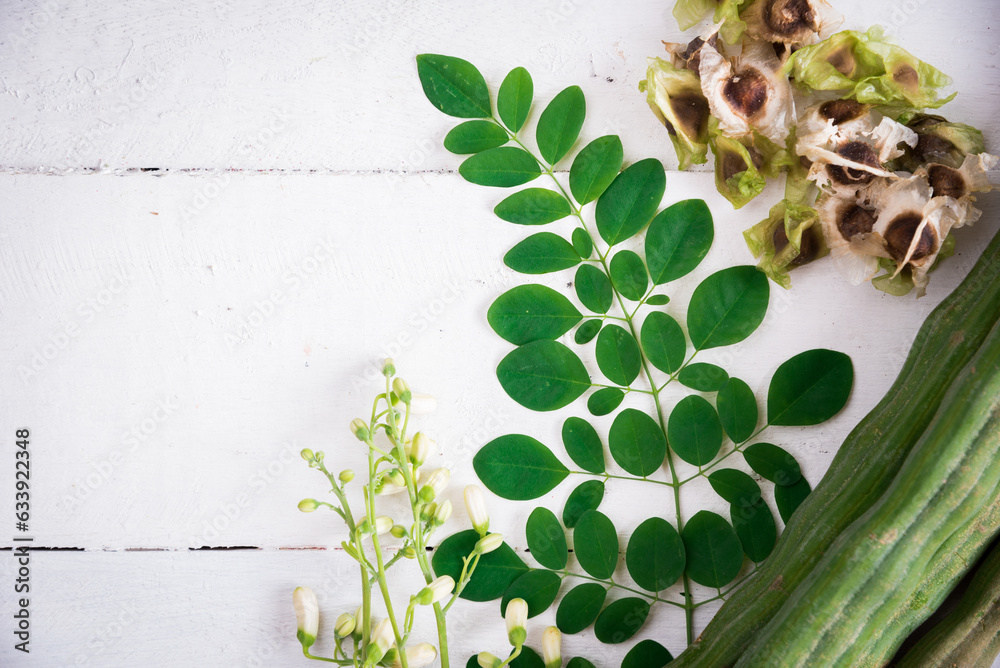 Moringa, Moringa oleifera leaves, Moringa seed,flowers and leaves of ...