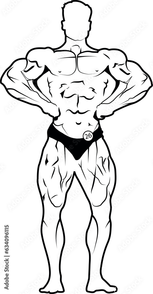 cbum lat pose detailing vector with white background Stock-Vektorgrafik ...
