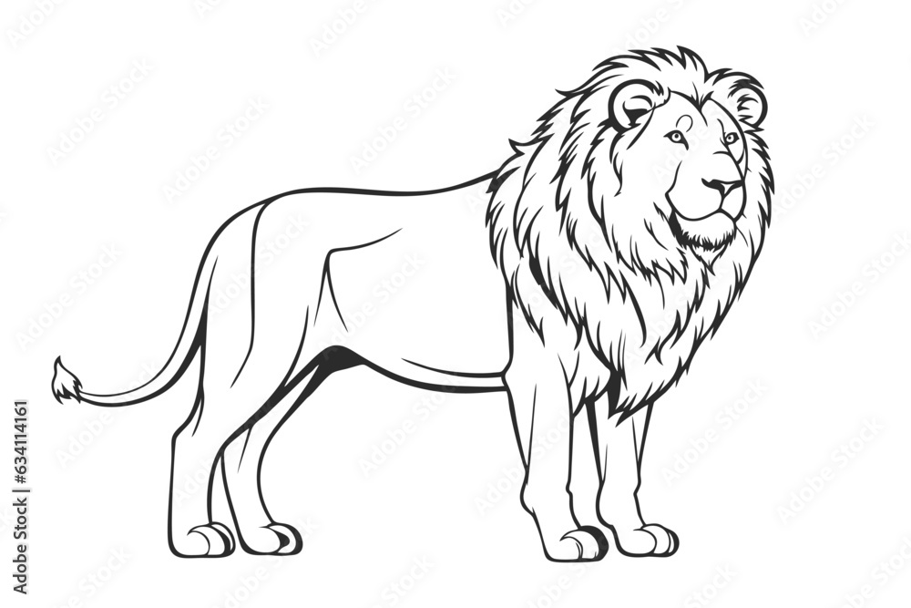 lion pencil drawing coloring book. Vector illustration Stock Vector ...
