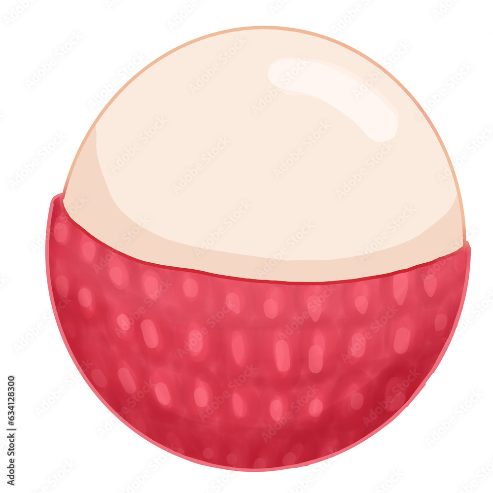 Lychee. Fresh lychees isolated graphic cartoon hand drawing Stock ...