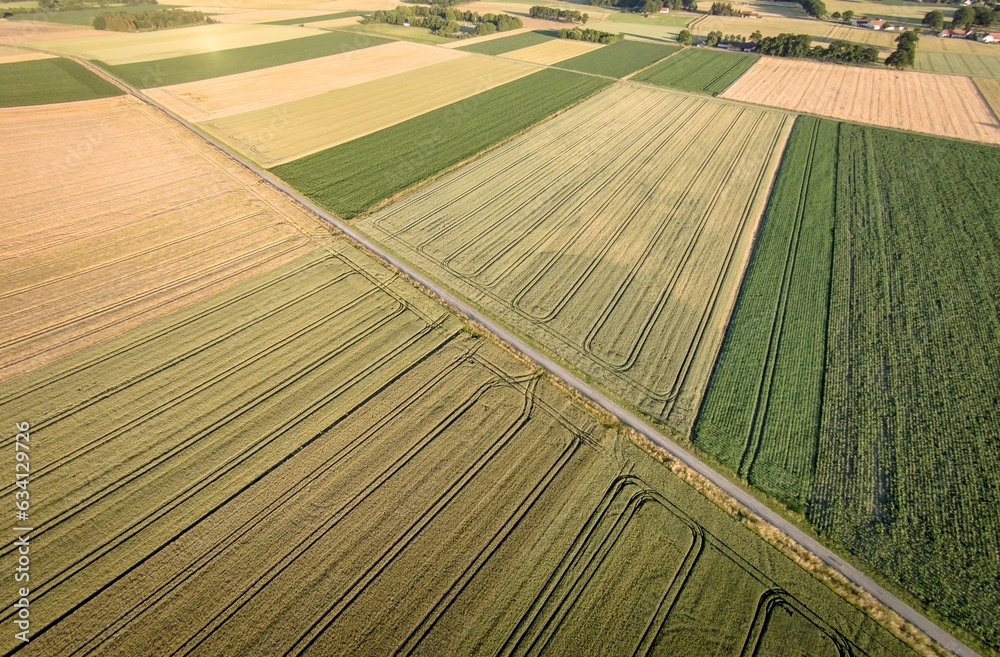 Luftaufnahme - Getreidefelder mit unterschiedlichen Getreidesorten und ...